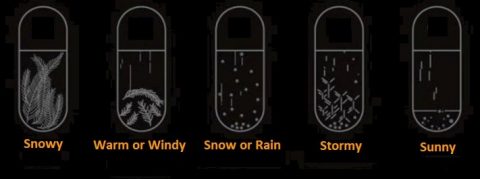 Best Weather Predicting Storm Glass: Reviews & Ultimate Guide