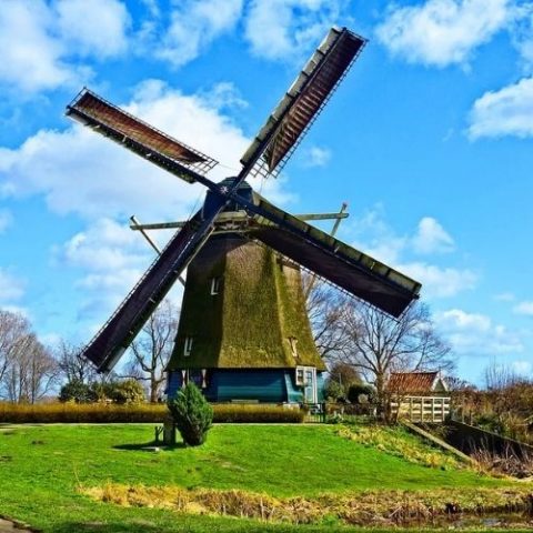 Windmill Generators: What Are They And How Do They Work?